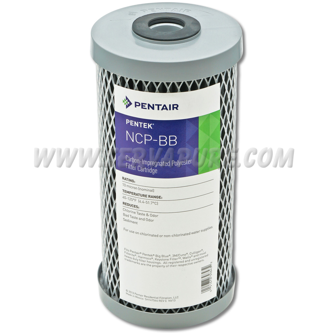 Pentek 155398, NCP-BB Pleated Carbon-Impregnated Polyester, 4.5" x 10 ...