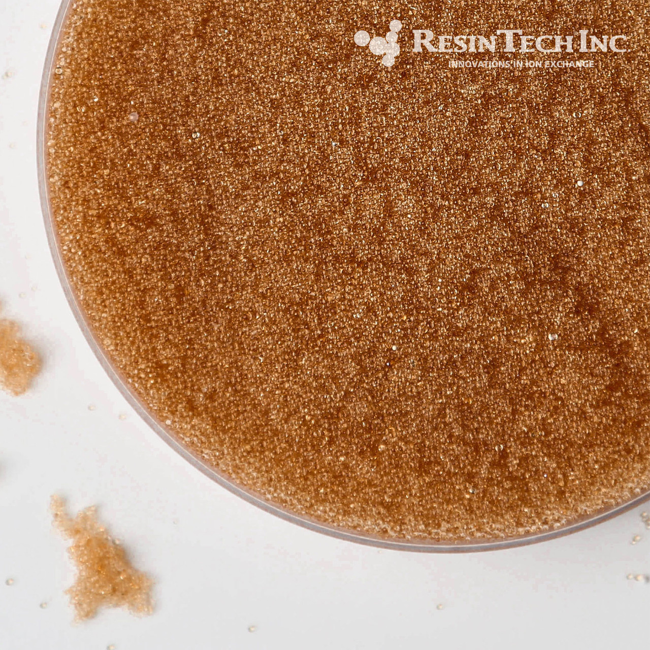 ResinTech CG10-Na 10% Crosslinked Cation Exchange Resin, Na Form, 1 ...