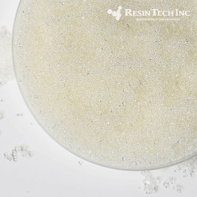 ResinTech SBG1P, Porous Strong Base Anion Exchange Resin, Cl Form, 1 ...