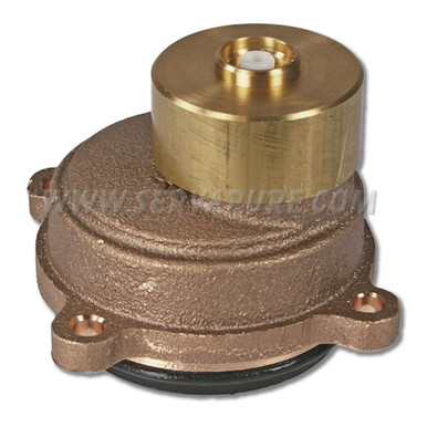 Fleck 15237, Extended Range Meter Cap Assembly, Brass | Serv-A-Pure