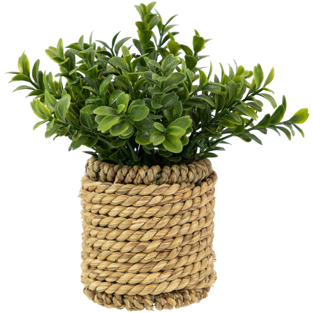 Milan Leaf Artificial Mini Bush In Rattan Basket - 7" | Christmas Central