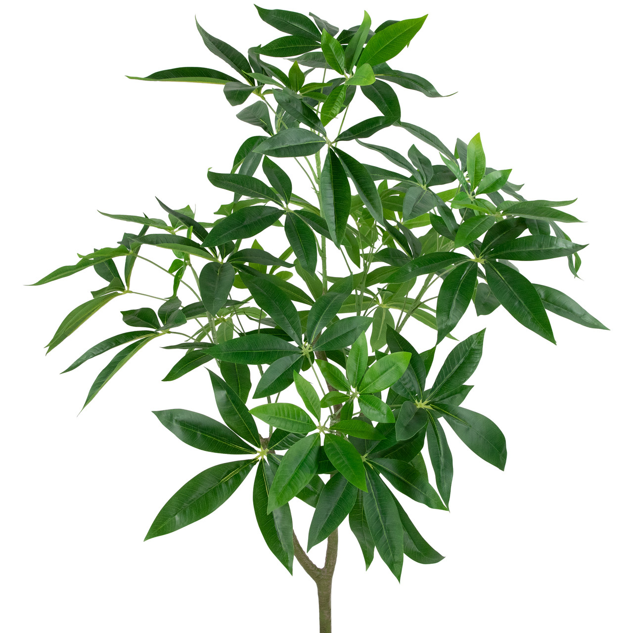 4' Artificial Unbraided Potted Green Money Tree | Christmas Central