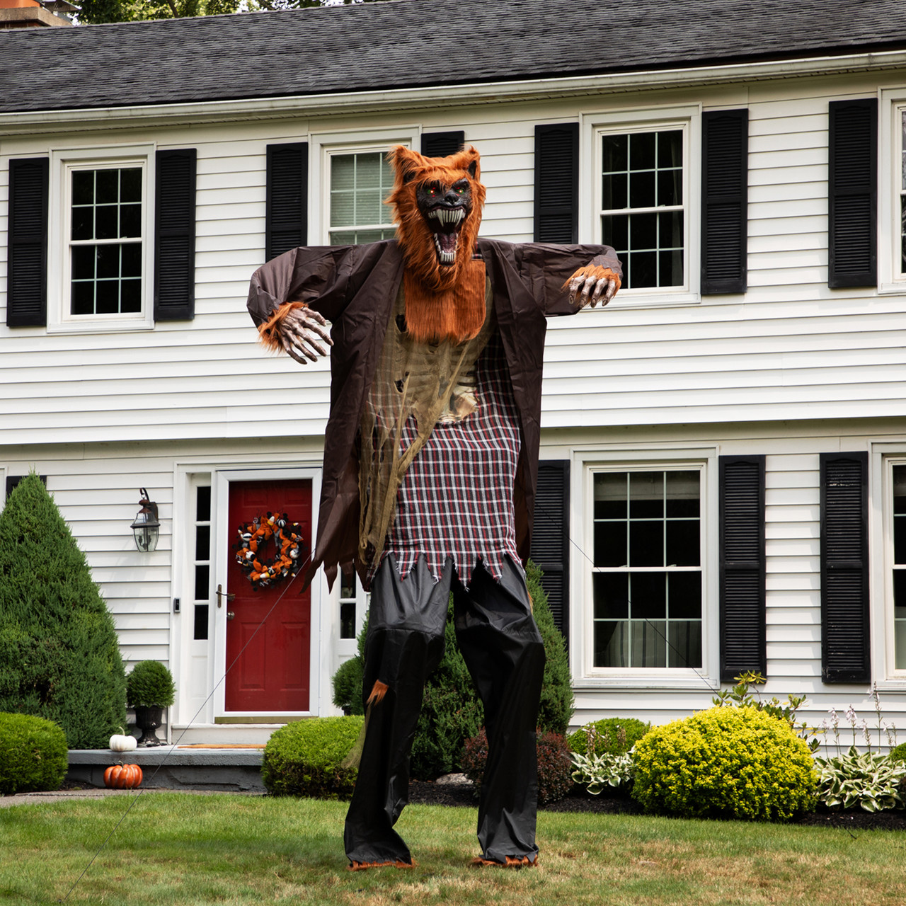 Huge Lighted & Animated Talking Werewolf Commercial Outdoor Halloween ...