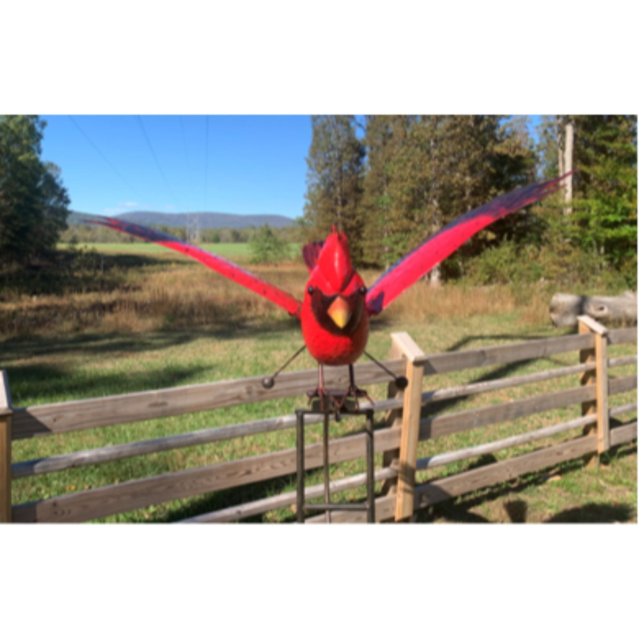 88" Black & Red Contemporary Cardinal Outdoor Garden Rocker | Christmas ...