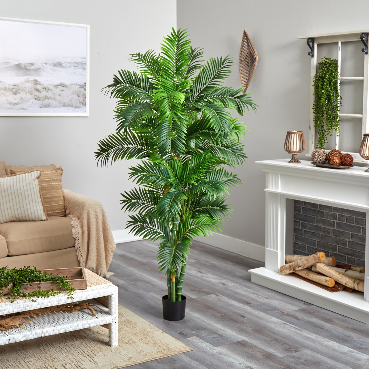 6' Artificial Curvy Parlor Palm Silk Tree in Black Pot | Christmas Central