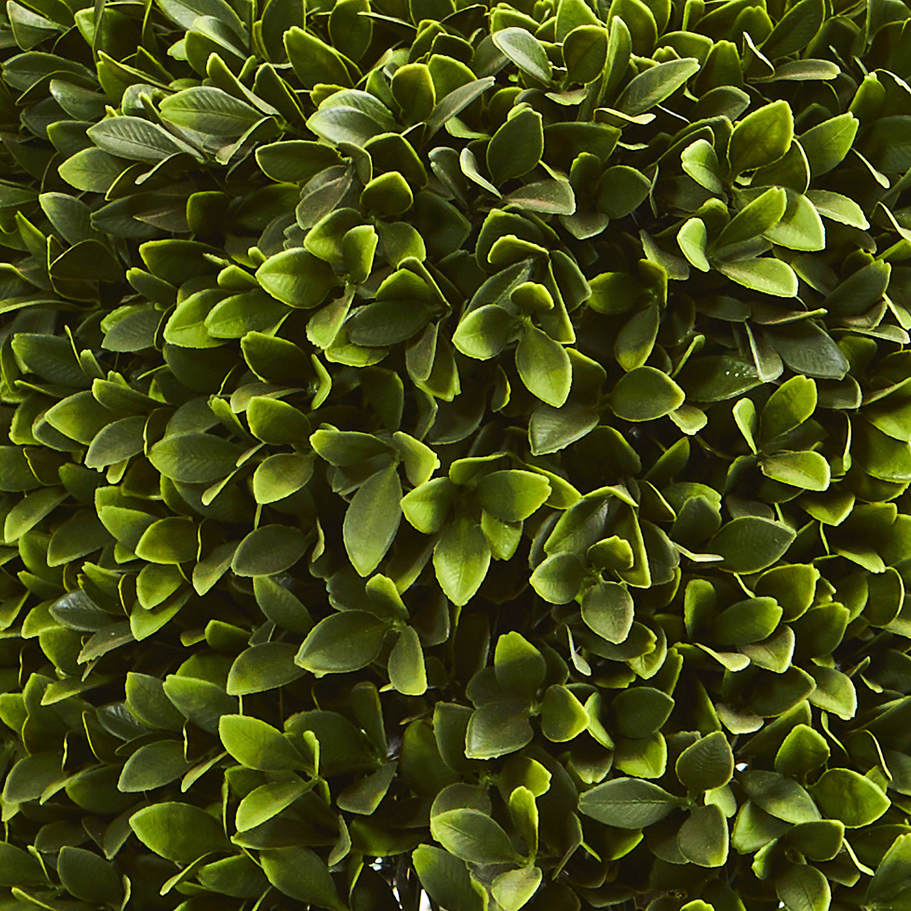 27" Artificial Outdoor Boxwood Plant with Black Planter | Christmas Central