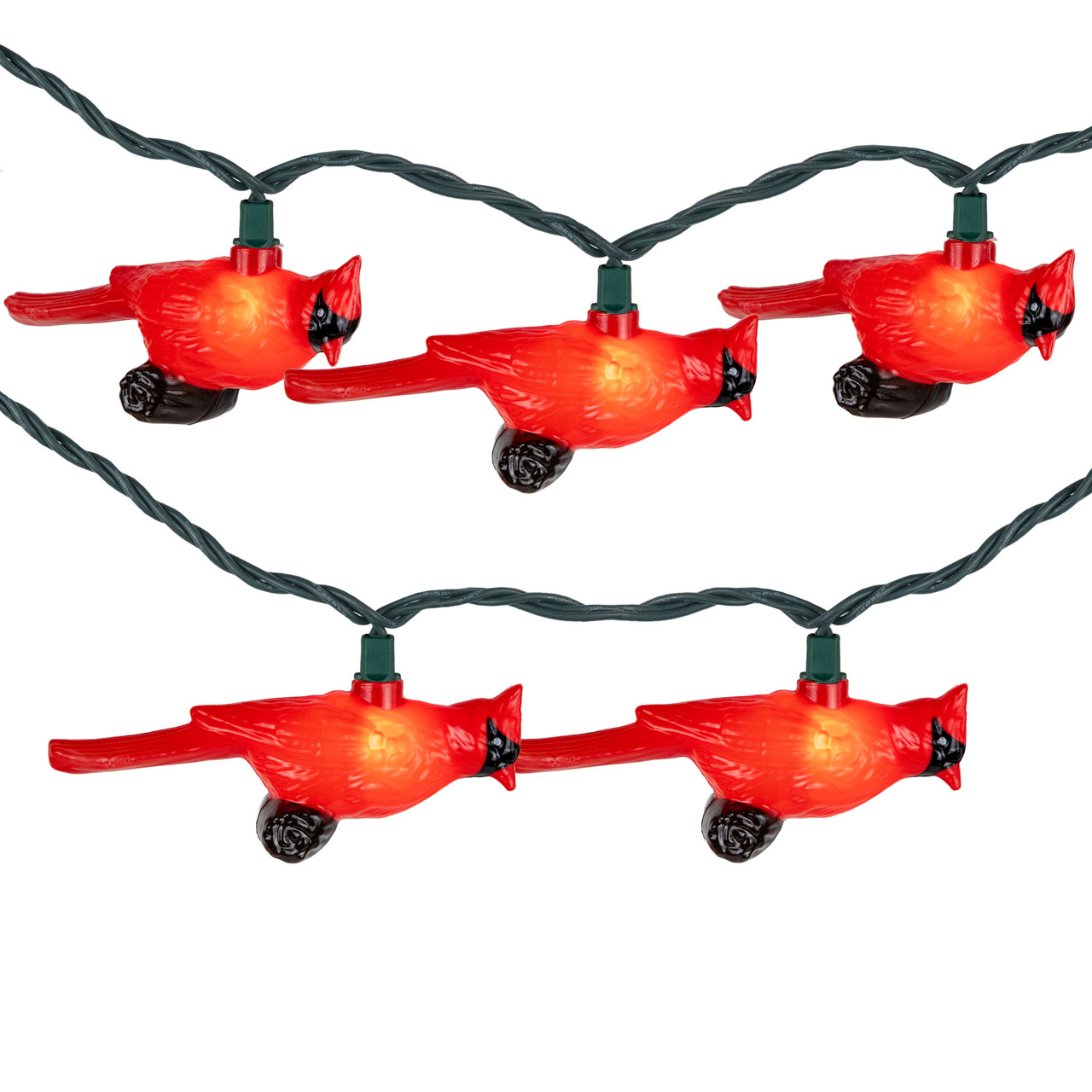 Cardinal Indoor Outdoor Patio Light Set - 6' Green Wire - 10ct ...