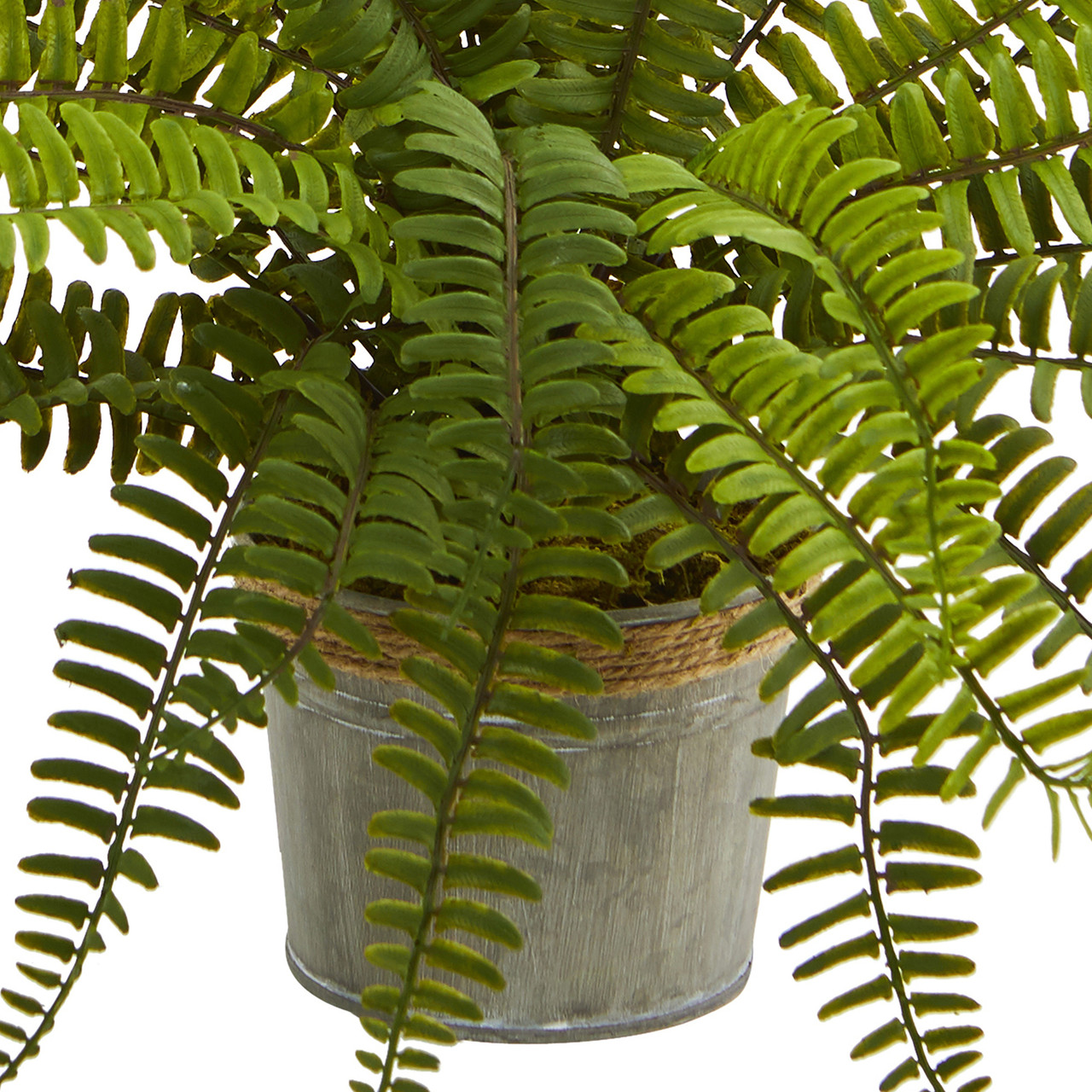 Set of 3 Assorted Ferns Artificial Plants with Planter 14" | Christmas ...