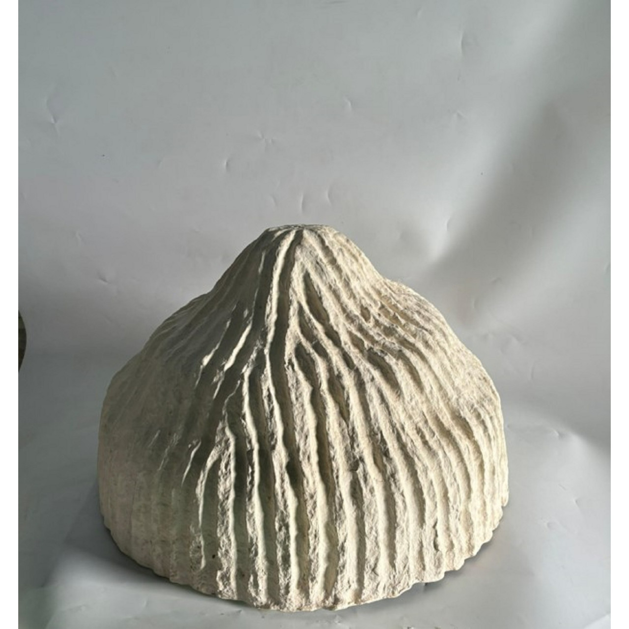 Large Paper Mache Shell Tabletop Decoration - 22.5" - Cream | Christmas ...