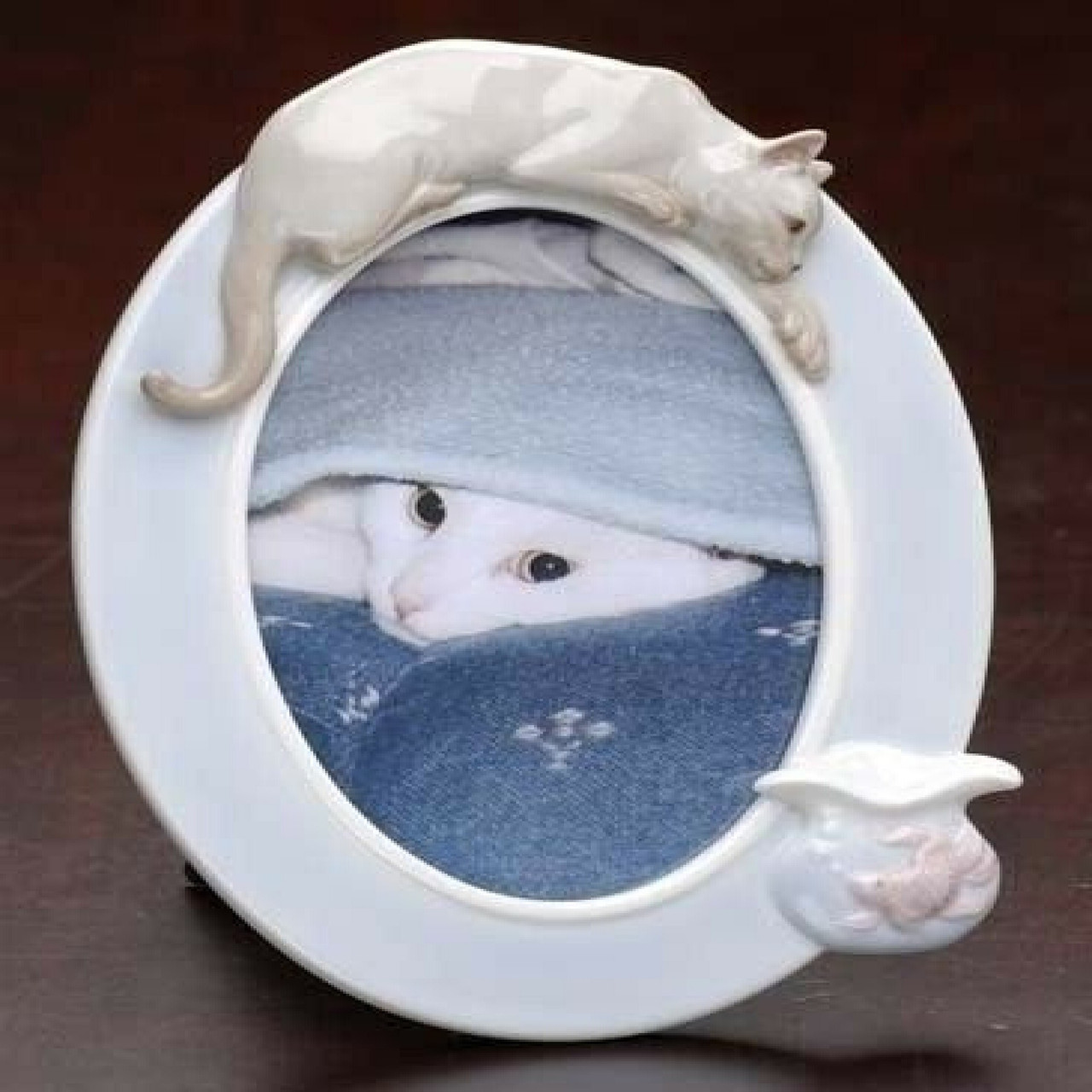 Club Pack of 12 White Siamese Cat & Fish Oval Photo Frames 8 ...