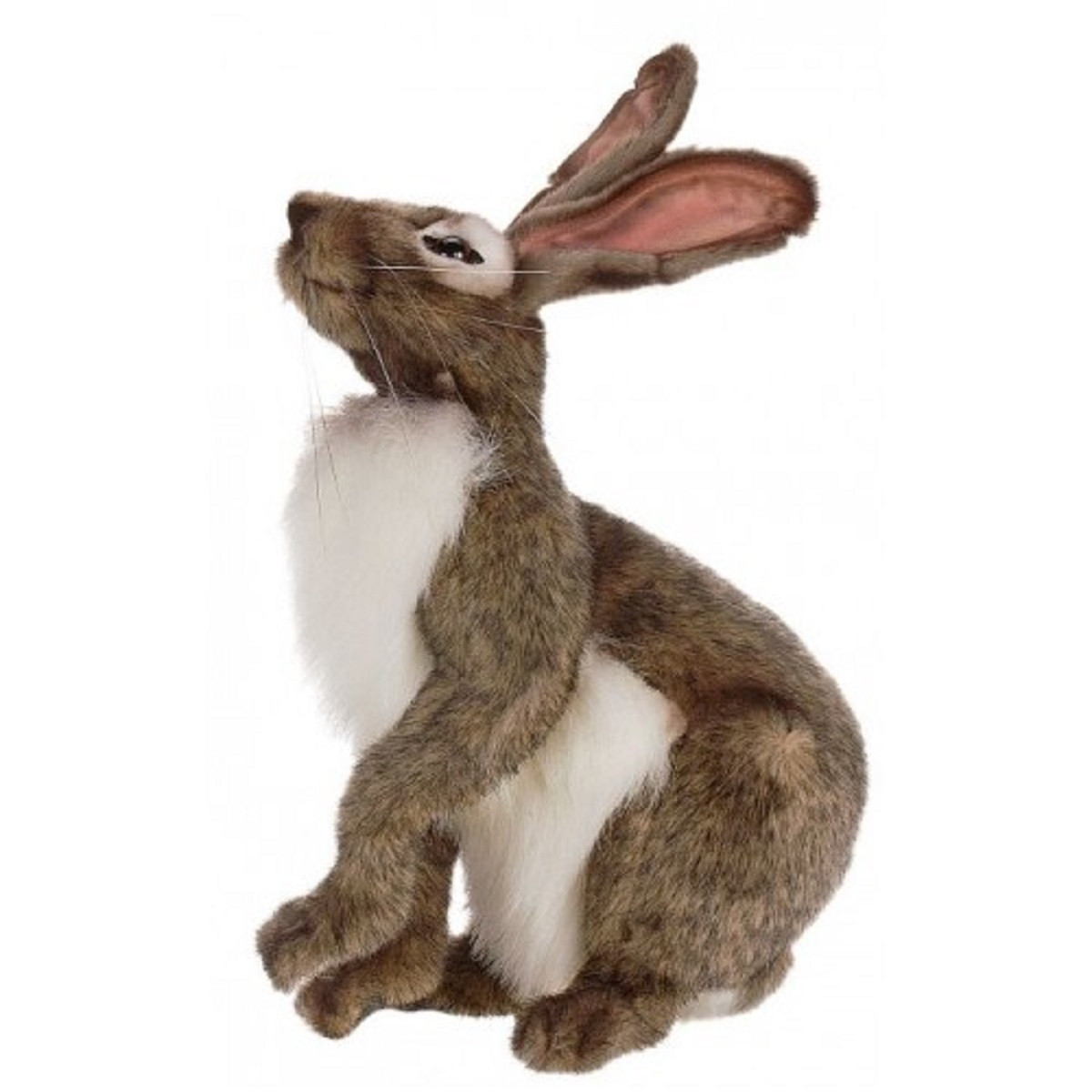 realistic rabbit teddy