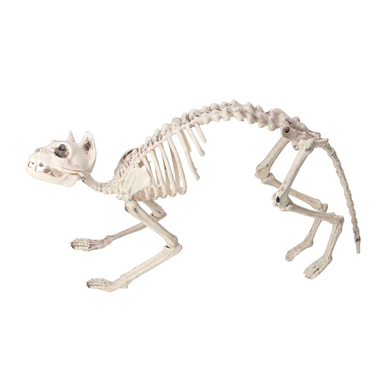 18.5" Standing Skeleton Cat Halloween Figurine | Christmas Central