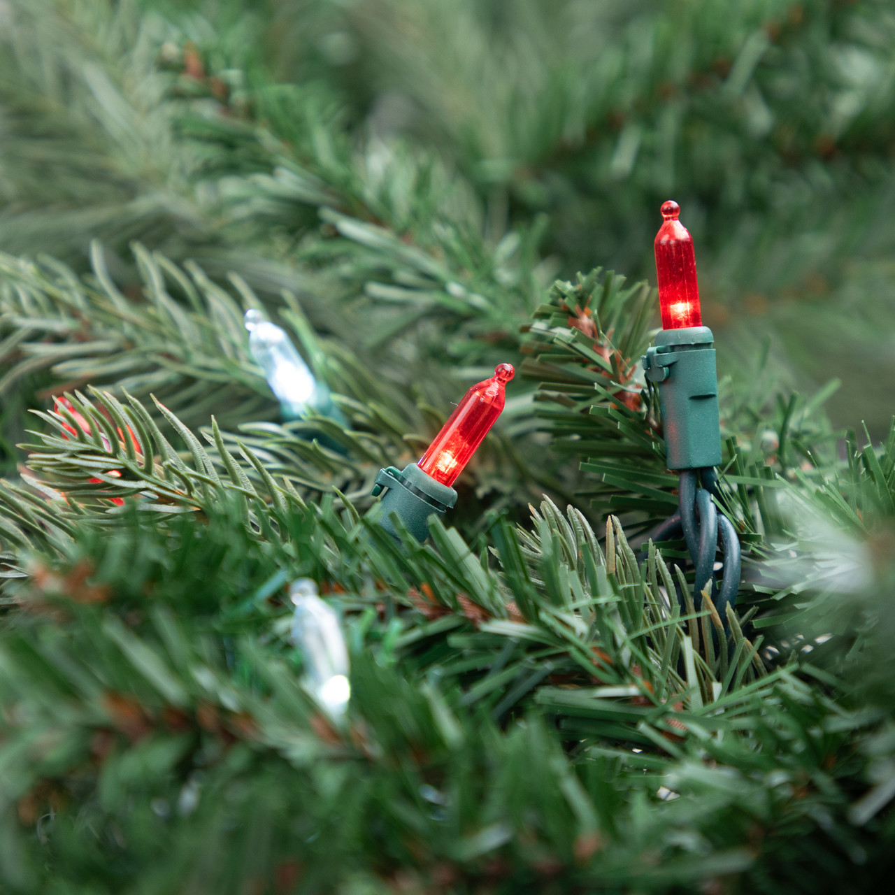 LED Mini Christmas Lights - Red & White - 33' Green Wire - 100ct ...