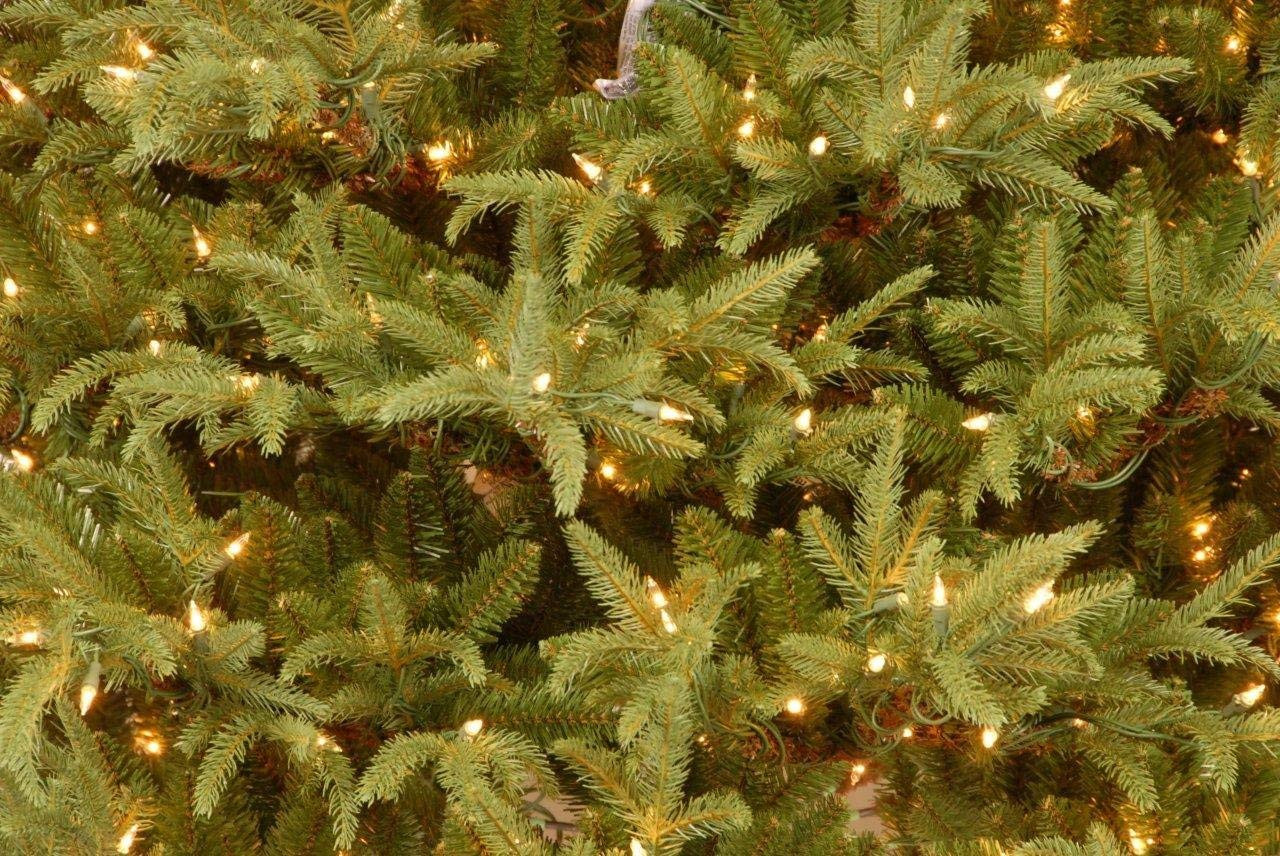 6 ft. Frasier Grande Tree with Dual Color LED Lights | Christmas Central