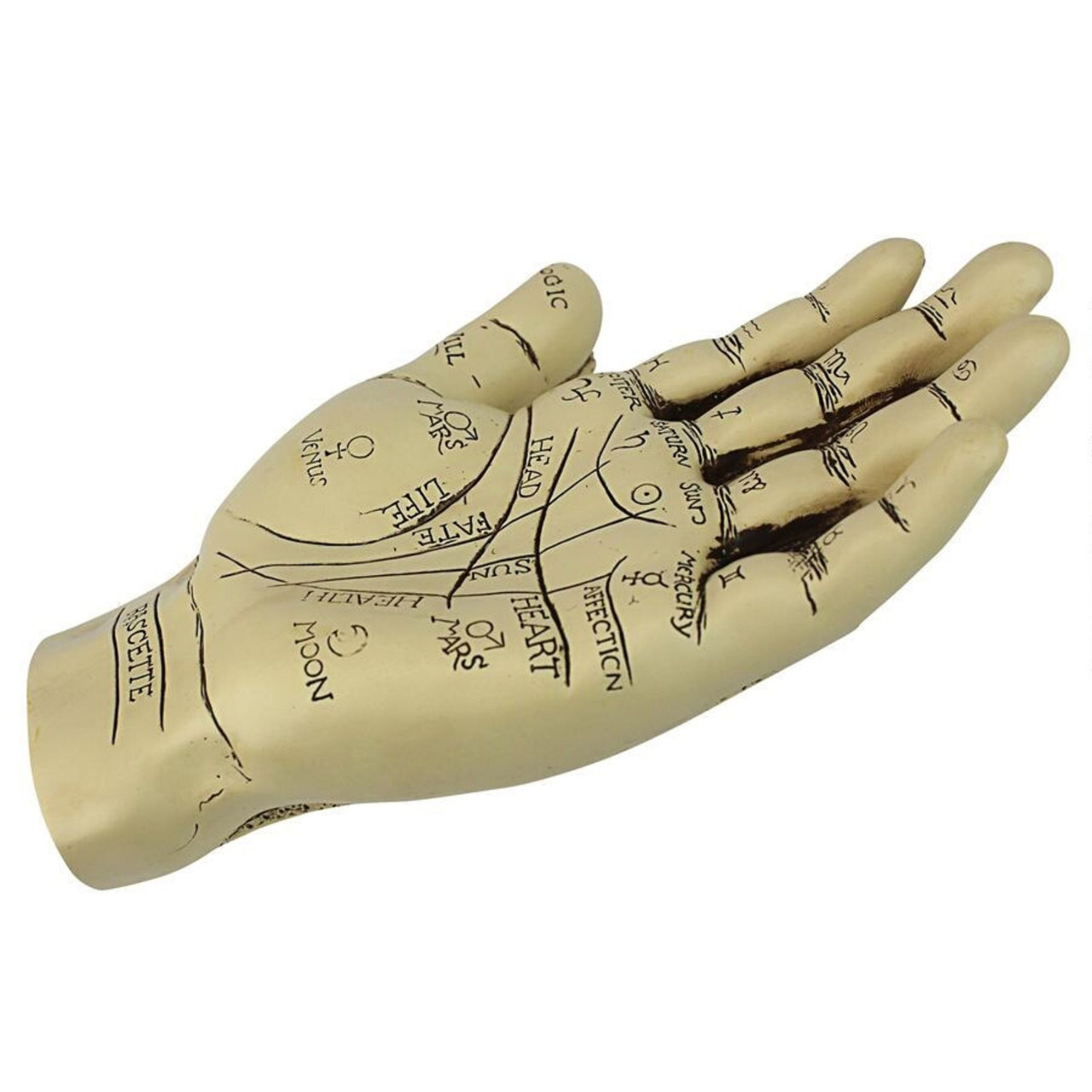 The Palmistry Hand Statue - 8" | Christmas Central
