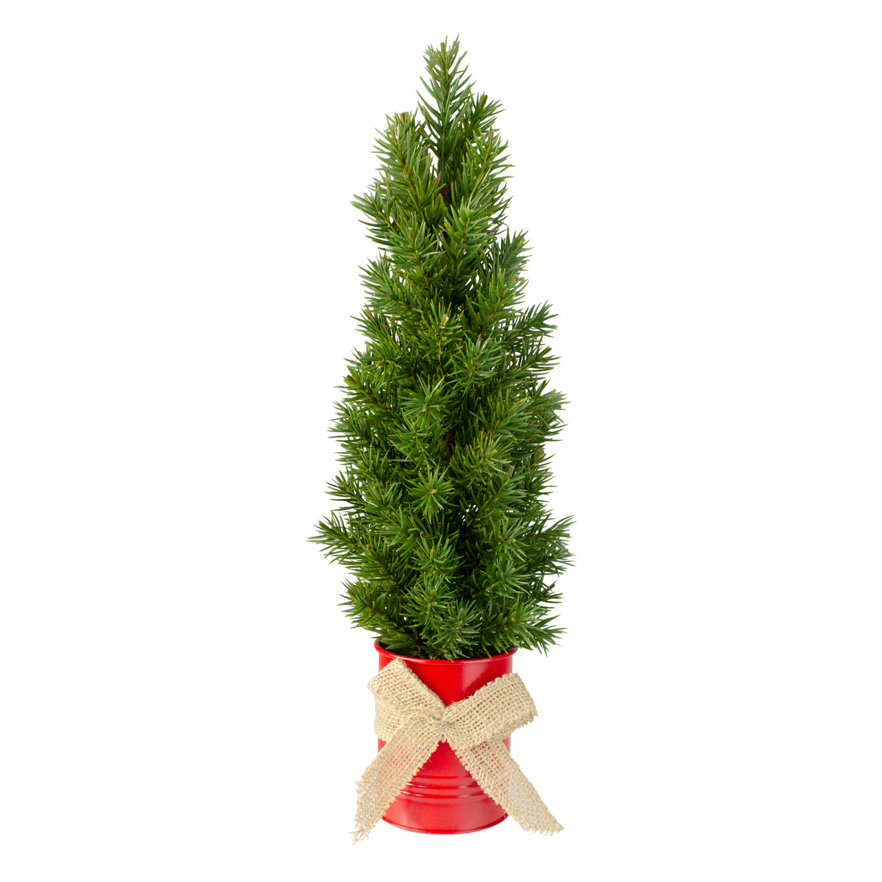 17" Mini Tabletop Christmas Tree with Red Metal Pot - Unlit | Christmas ...