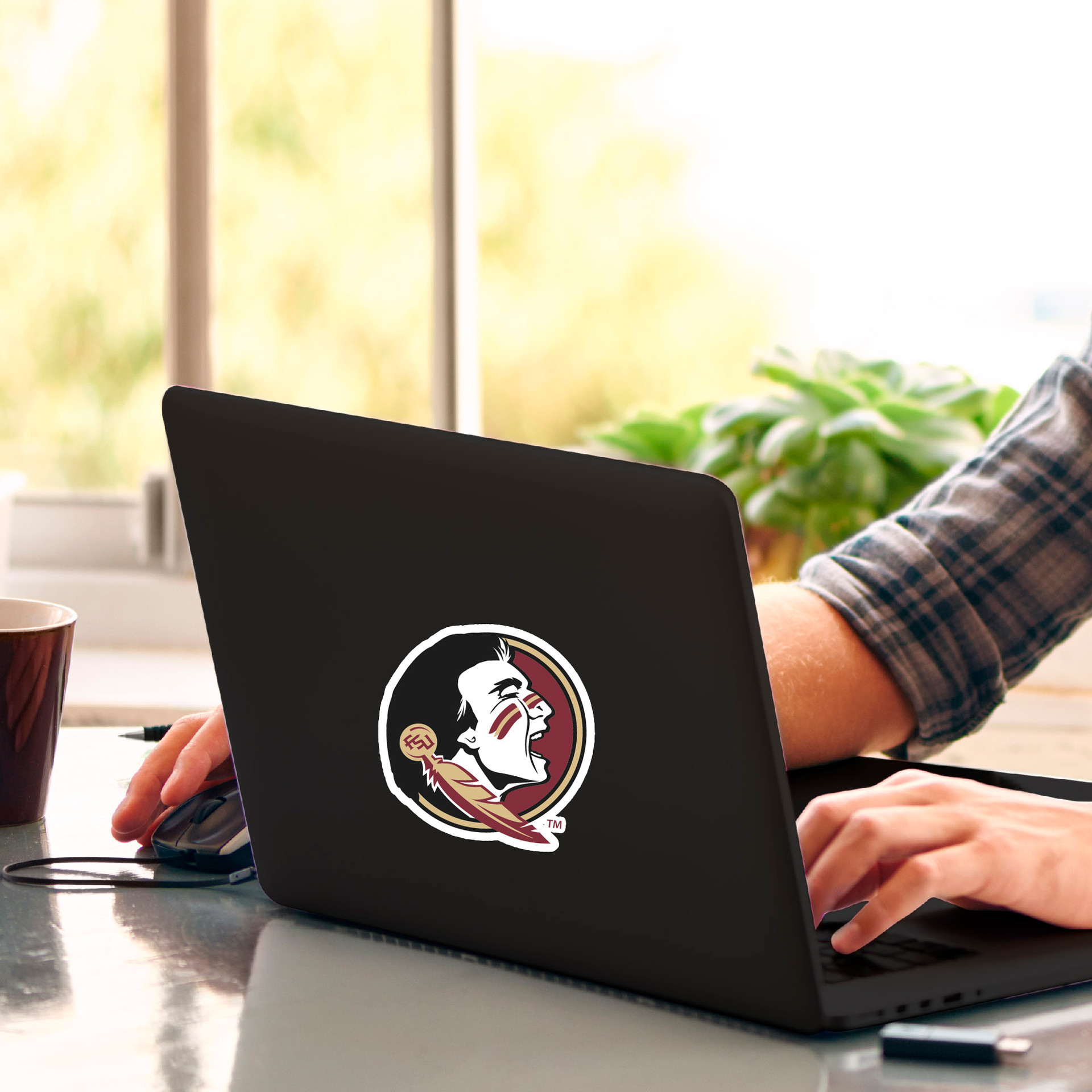 6.25" NCAA Florida State University Seminoles Matte Automotive Decal ...