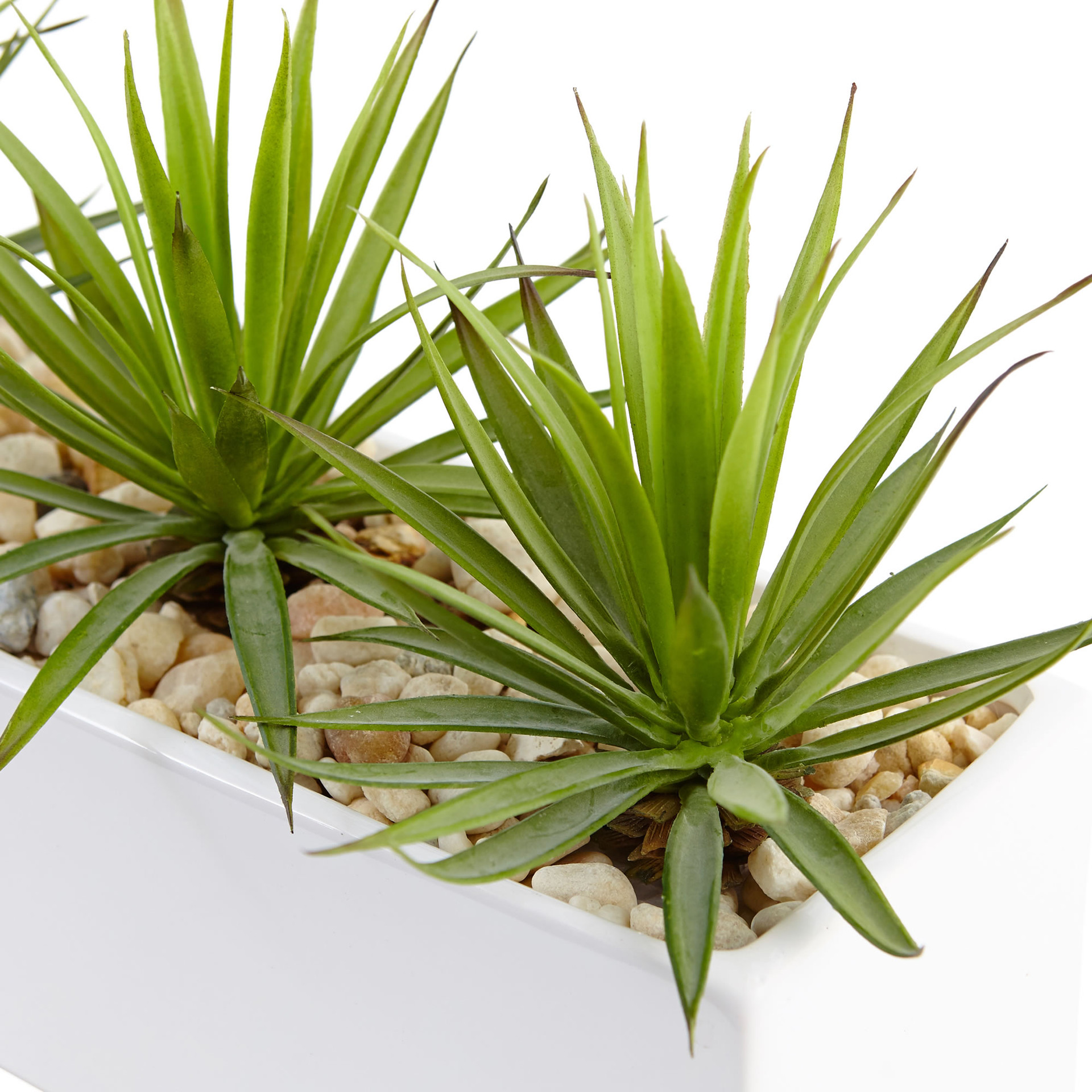 14.5" Mini Agave Artificial Plant in Rectangular Planter | Christmas ...