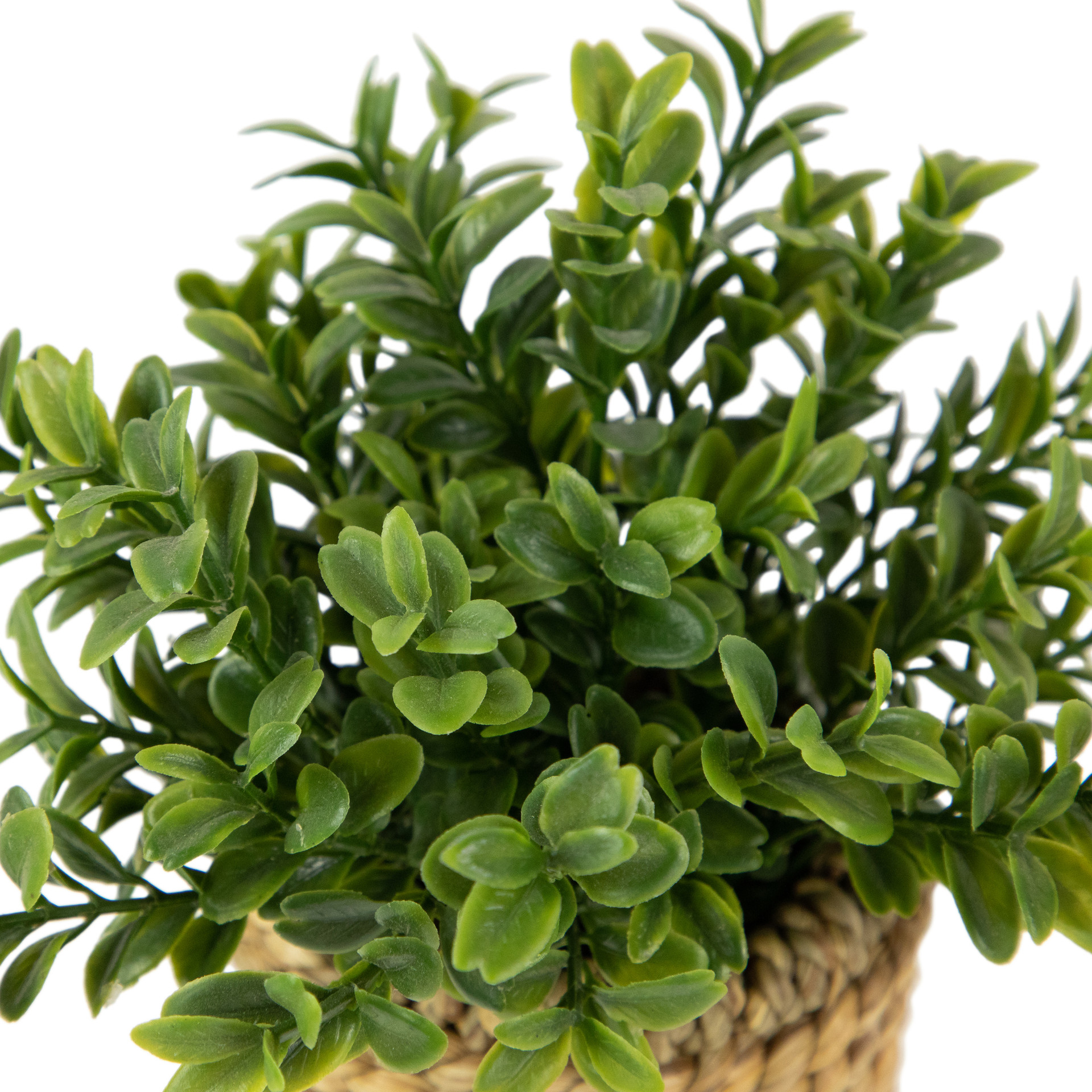 Milan Leaf Artificial Mini Bush In Rattan Basket - 7" | Christmas Central