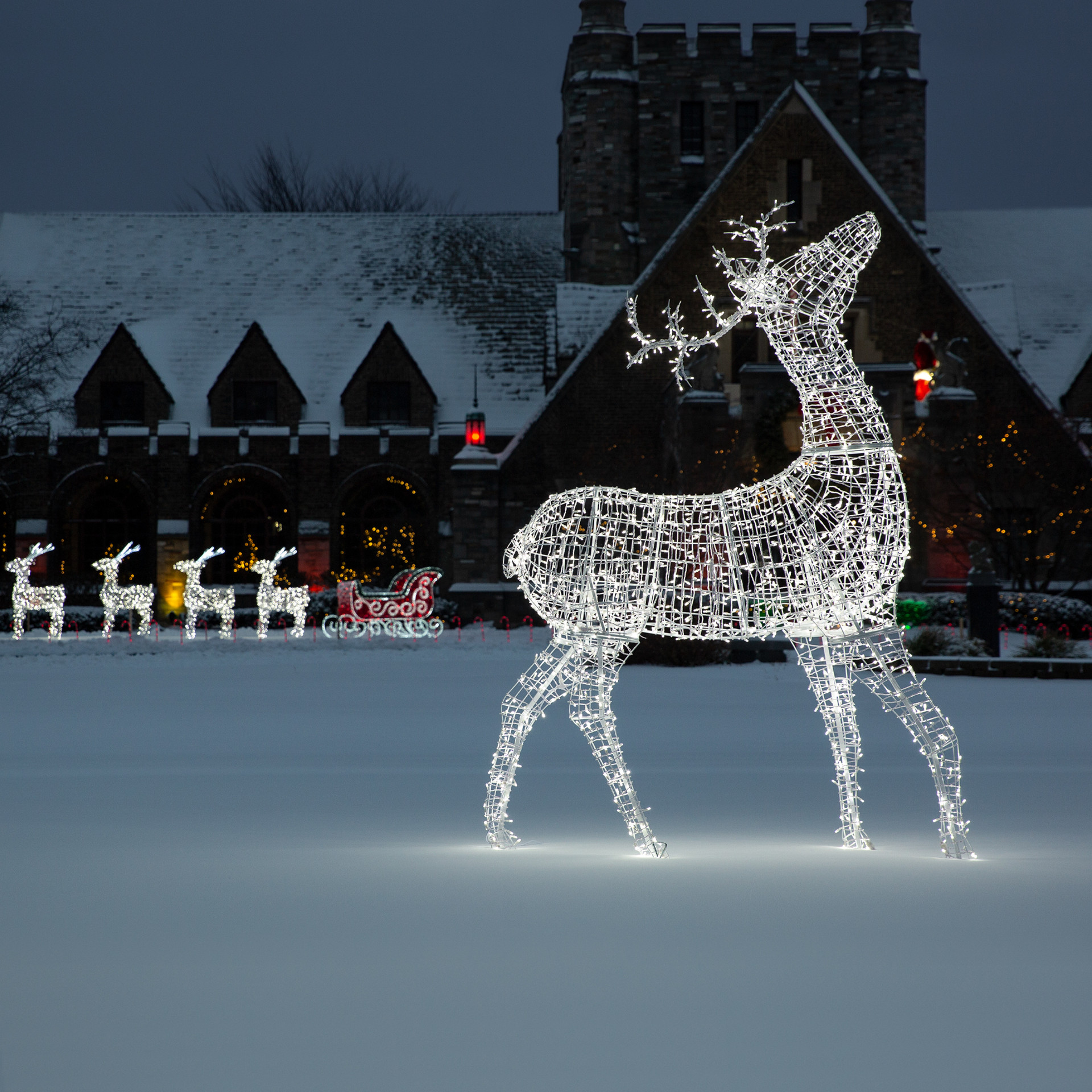 9.5' Pre-lit Commercial Size 3D White Reindeer Christmas Outdoor ...
