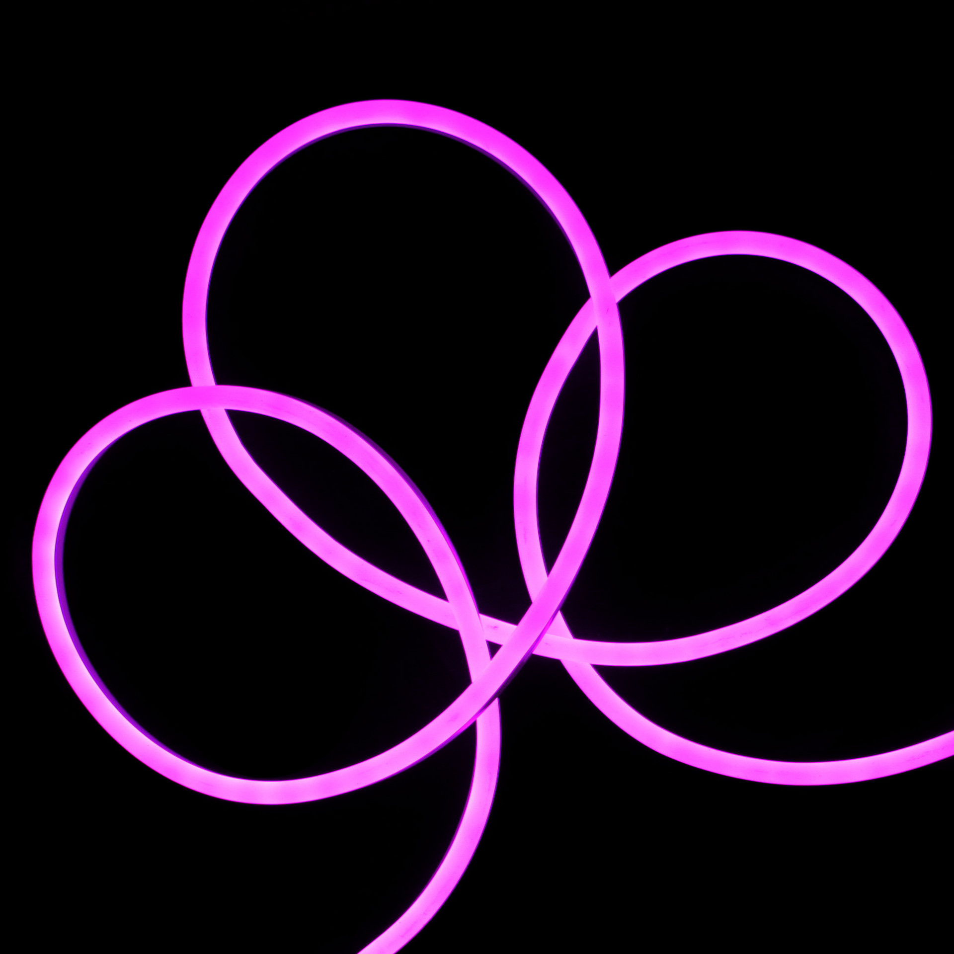 18’ Purple Neon Style LED Commercial Grade Christmas Rope Lights ...