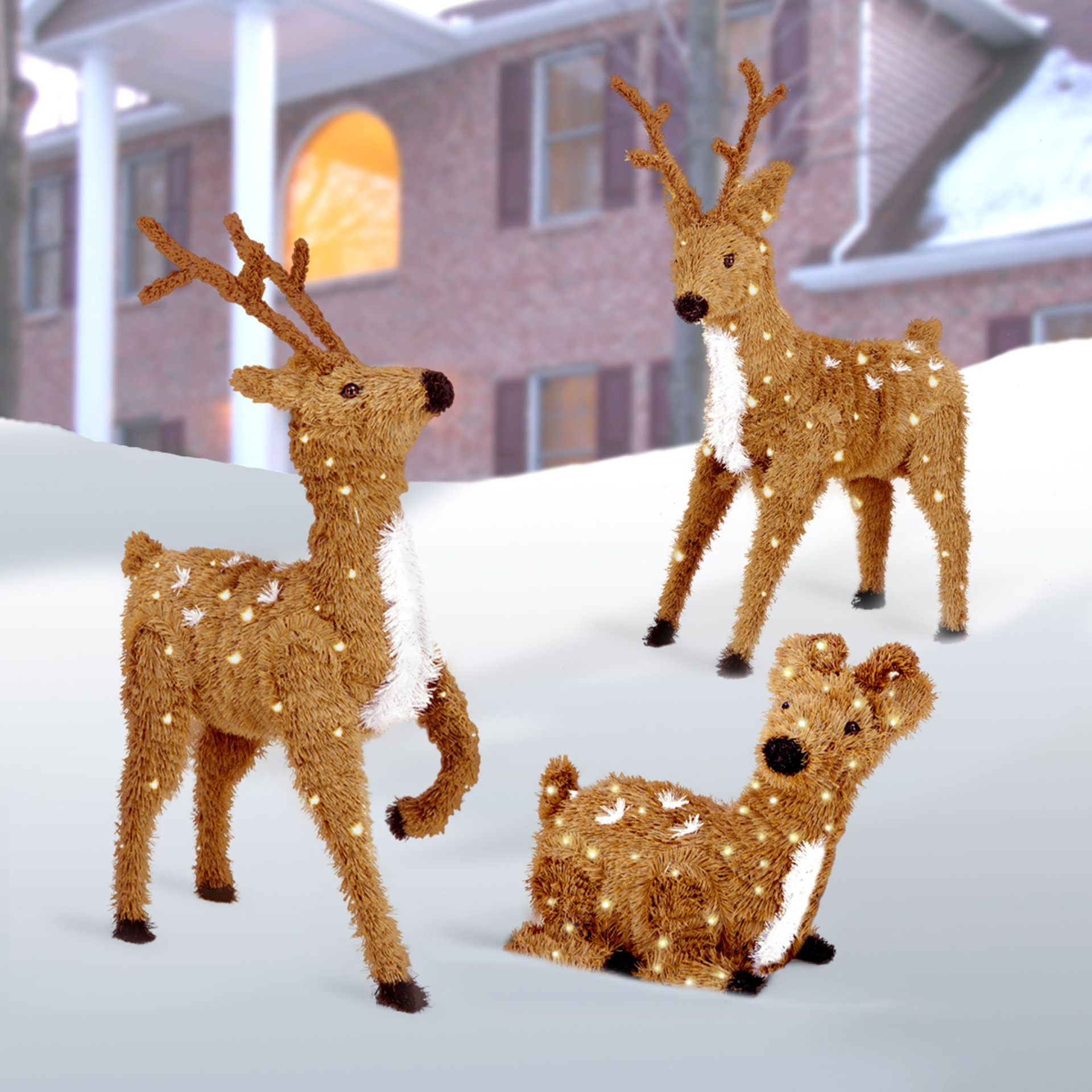 24" Creative Images Brown Resting Reindeer with Spots - Clear Lights ...