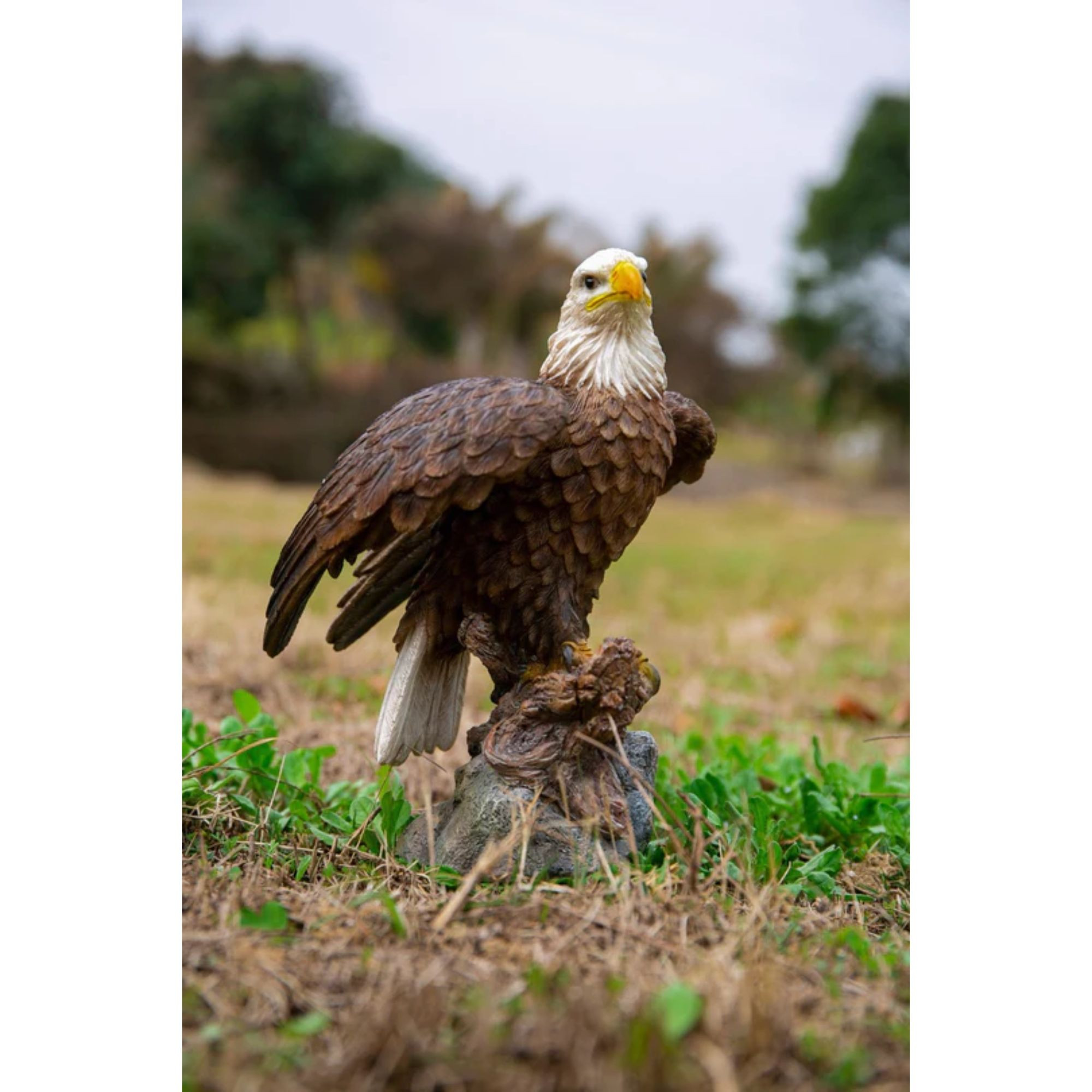 8.25" Sound Activated Singing Eagle Outdoor Garden Statue | Christmas ...
