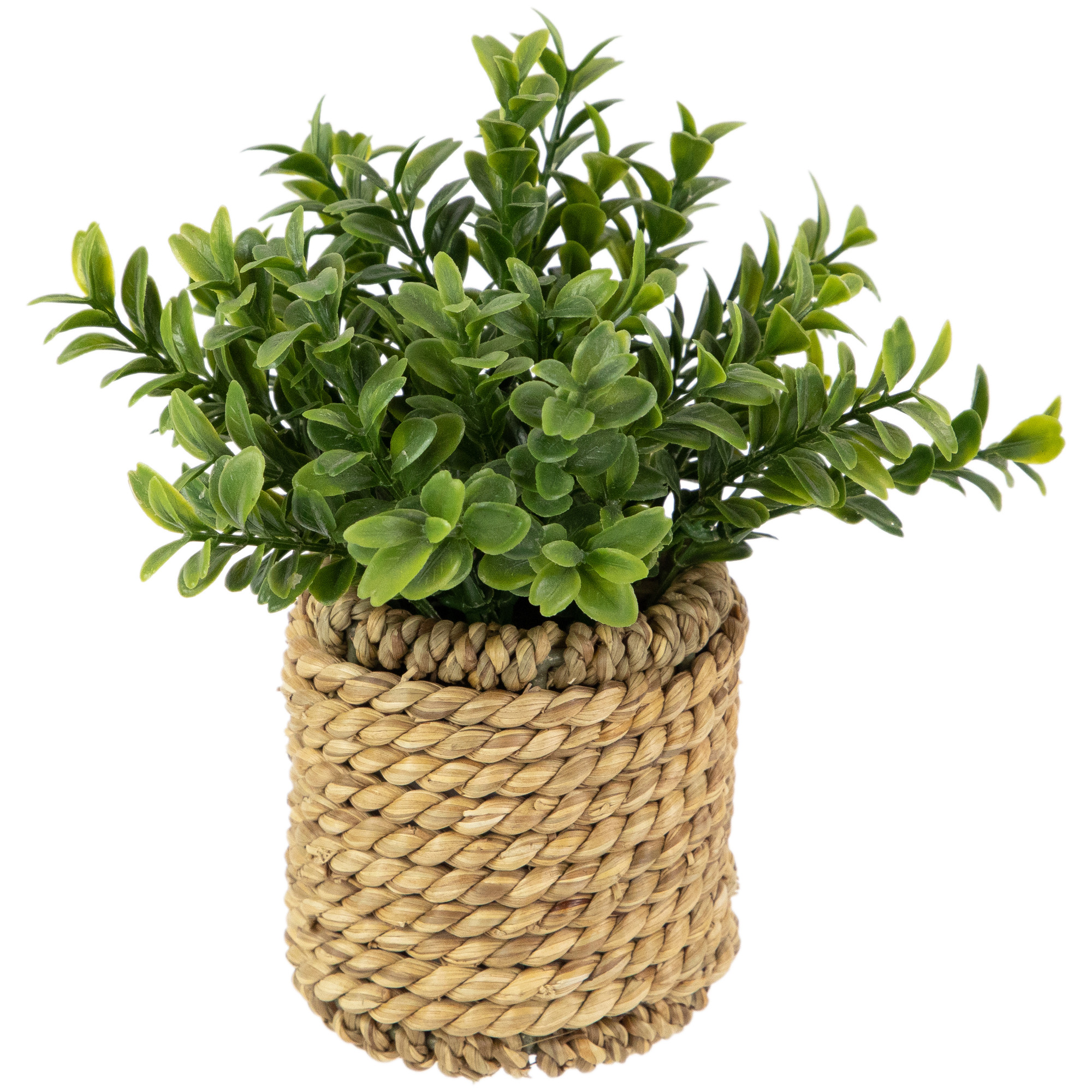 Milan Leaf Artificial Mini Bush In Rattan Basket - 7" | Christmas Central