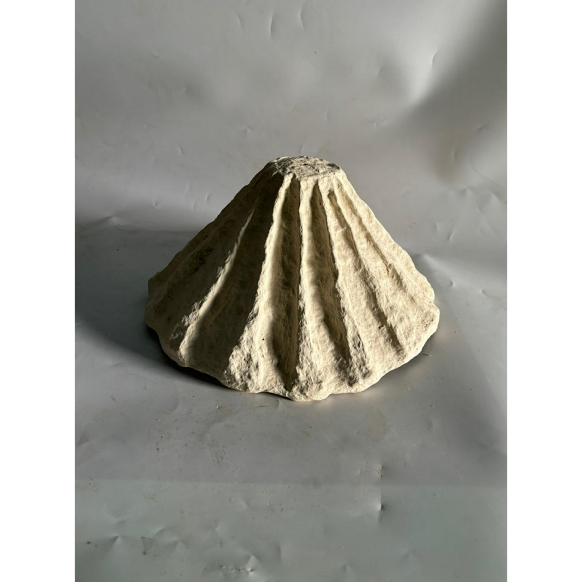 Paper Mache Shell Tabletop Decoration - 15" - Cream | Christmas Central