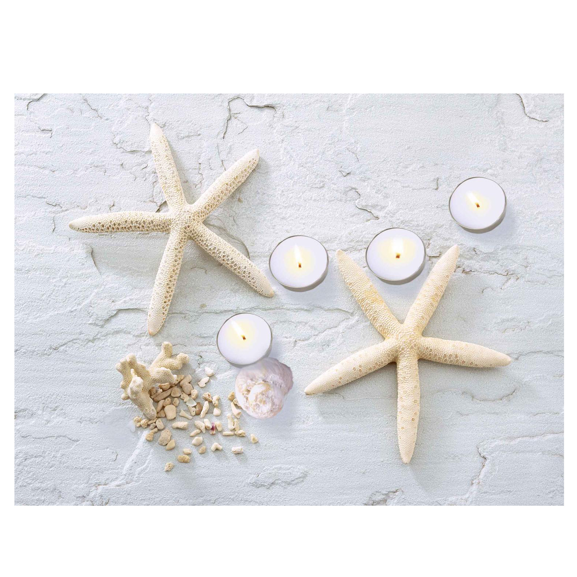 LED Lighted Starfish, Seashell & Tea Light Candles Canvas Wall Art 15. ...