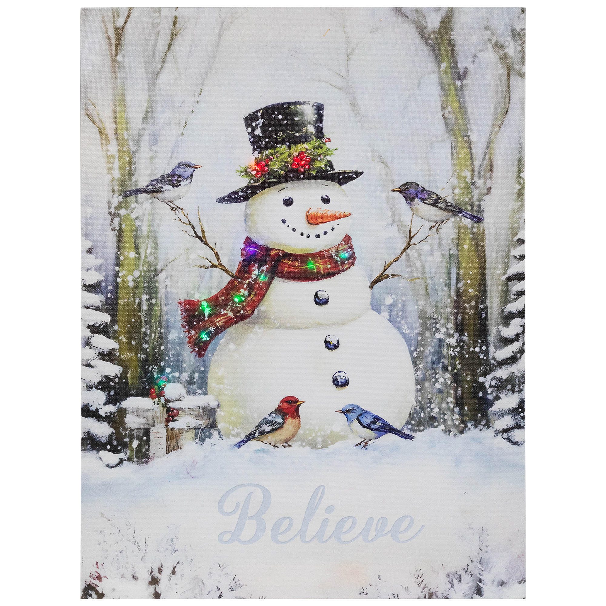 LED Lighted Snowman & Bird Friends Christmas Canvas Wall Art 15.75" x ...