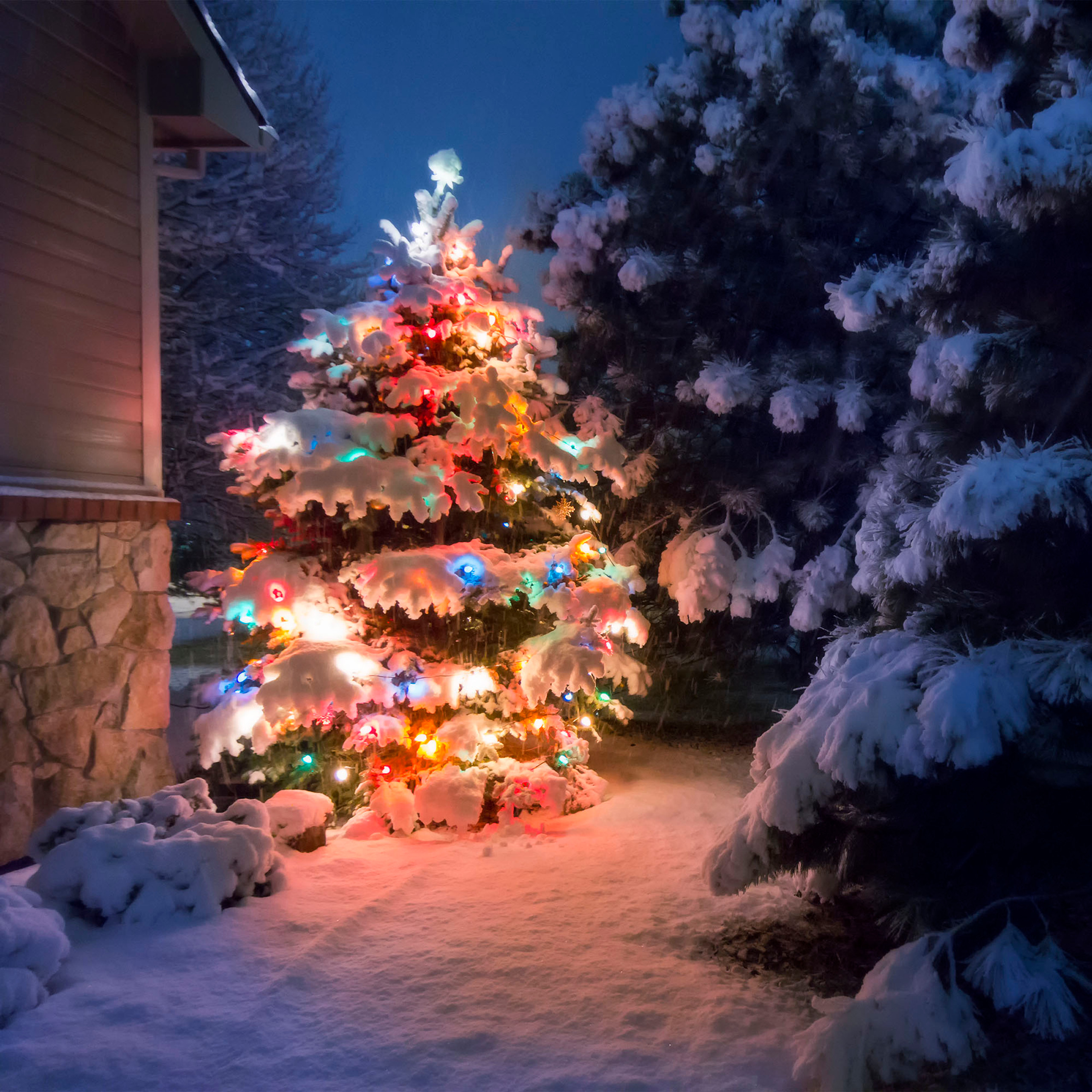 Artificial Christmas Trees, Lights & Home Decor - Christmas Central