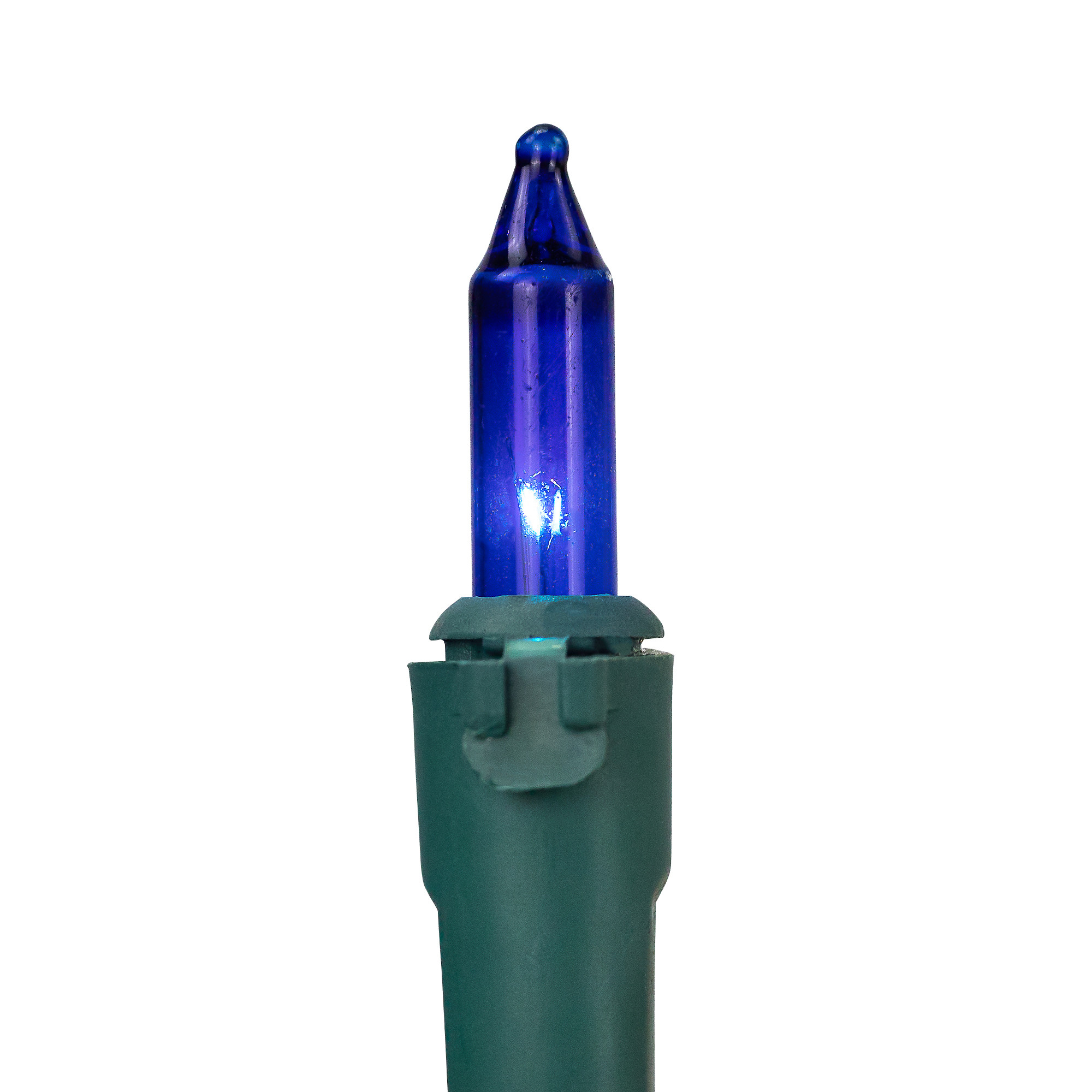 100-Count Blue & Clear Mini Christmas Light Set, 20 ft Green Wire ...