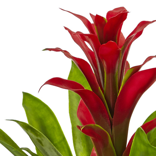 12" Artificial Bromeliad Plant with Glass Vase Arrangement | Christmas ...