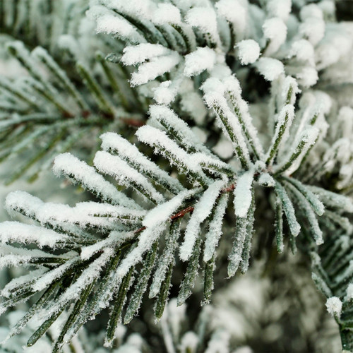 20" Flocked White & Green Artificial Pine Tree with a Pot | Christmas ...