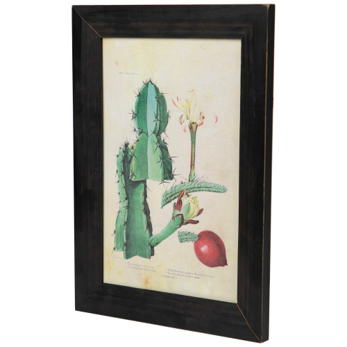 Framed Floral Cactus Photo Frame Wall Art - 14" | Christmas Central