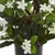 2' Stephanotis Climbing Artificial Potted Plant | Christmas Central