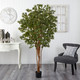 6' Artificial Japanese Maple Silk Tree with Black Pot | Christmas Central