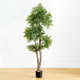 UV Resistant Ruscus Artificial Tree - 5.75' - Green | Christmas Central