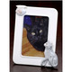 Club Pack of 12 White Cat & Fish Tabletop Photo Frames 7.75 ...