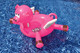 Pink Inflatable Flying Pig Swimming Pool Float, 54-Inch | Christmas Central