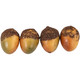 Fall Harvest Artificial Pumpkin, Gourd, Acorn & Leaf Decoration Set ...