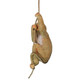 16" Hanging Chimpanzee Baby Monkey Statue on Rope | Christmas Central