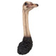 Ostrich Bird Trophy Wall Sculpture - 28" - Beige & Black | Christmas ...