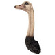 Ostrich Bird Trophy Wall Sculpture - 28" - Beige & Black | Christmas ...