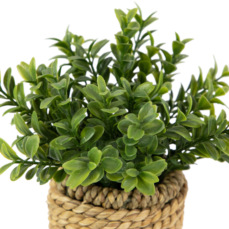Milan Leaf Artificial Mini Bush In Rattan Basket - 7" | Christmas Central
