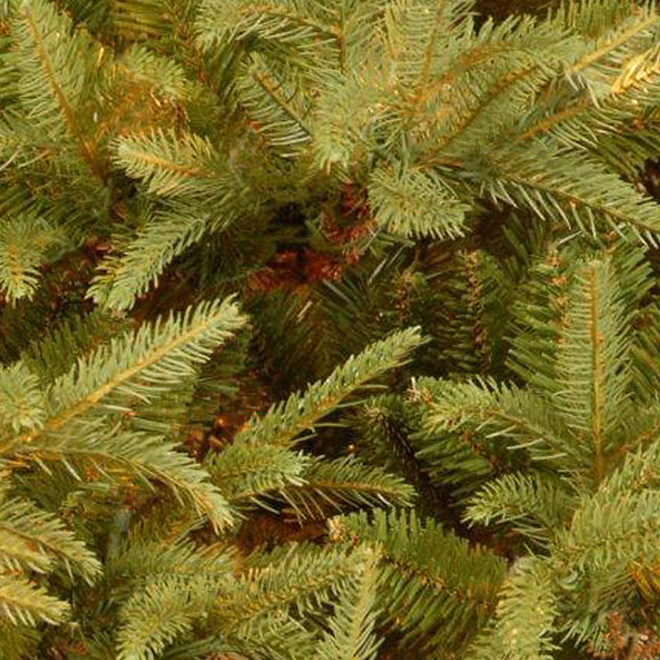 7’ Frasier Grande Artificial Christmas Tree | Christmas Central