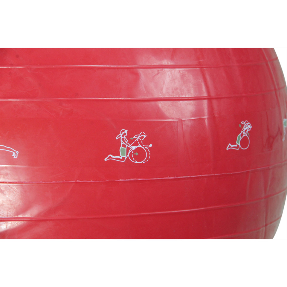 24" Red Exercise Gym Ball | Christmas Central