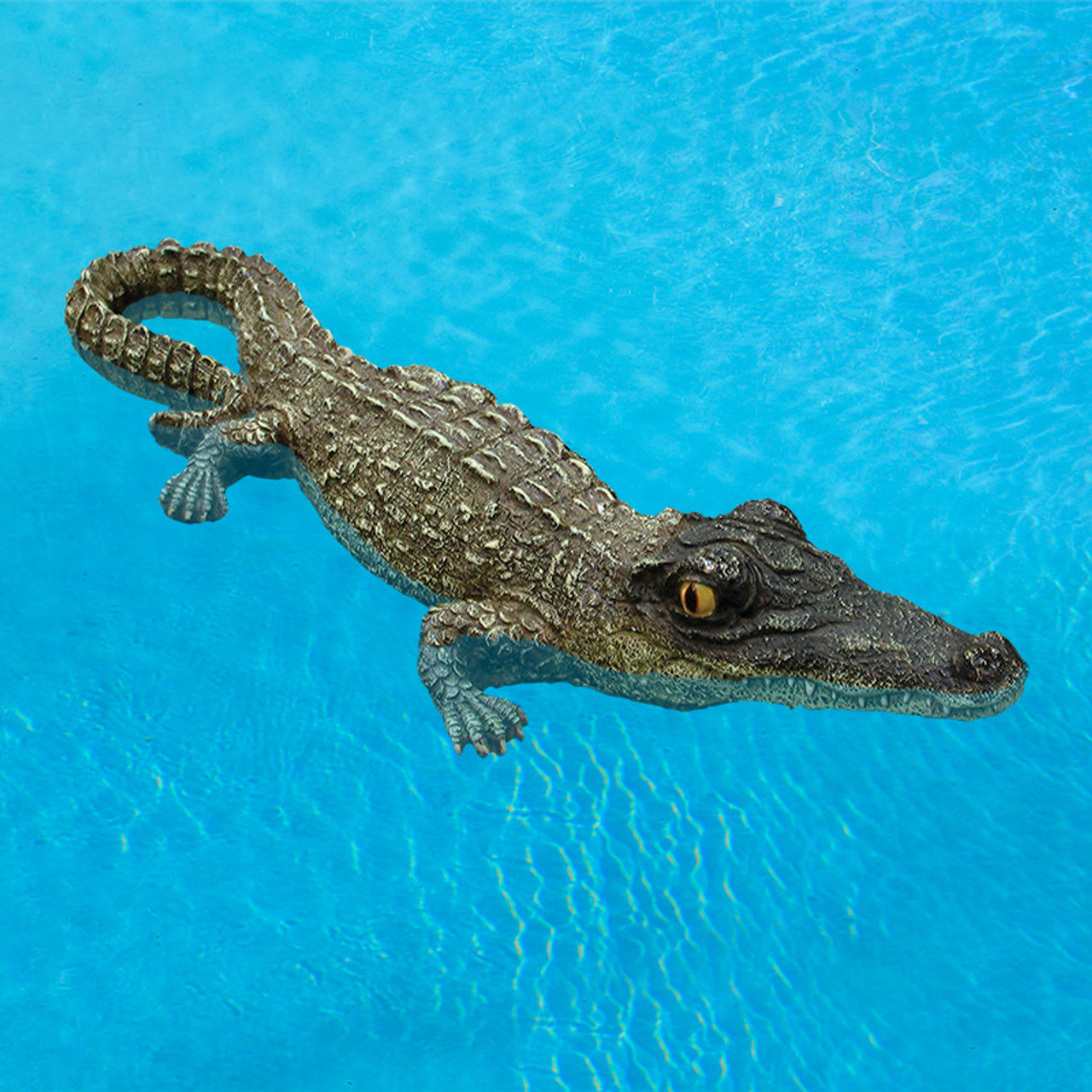 How to Keep Wildlife & Pets Safe Around Your Swimming Pool - Christmas ...