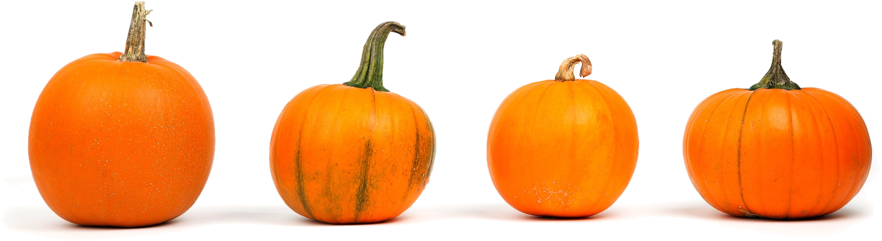 6 Tips for Decorating with Pumpkins - Christmas Central